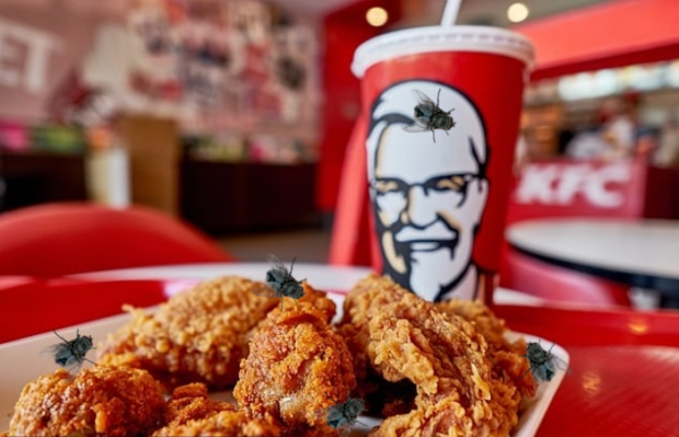 KFC’s halal-only restaurants cook up a storm in France – Blazing Cat Fur