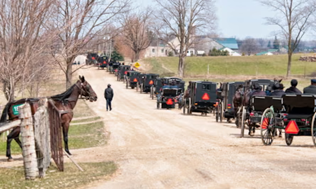 Mennonites? Waterloo Region nearly triples national average of human ...
