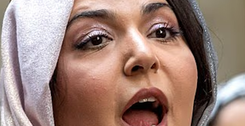 Palestinian activist calls for dogs to be banned as ‘indoor pets’ in ...