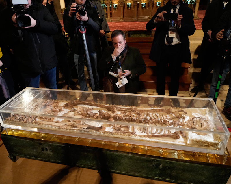 Saint Francis of Assisi’s skeleton goes on public display for first ...
