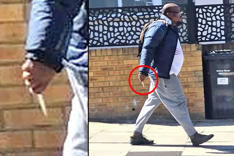Golders Green terrorist is Somalian Essa Suleiman who suffers “mental ...