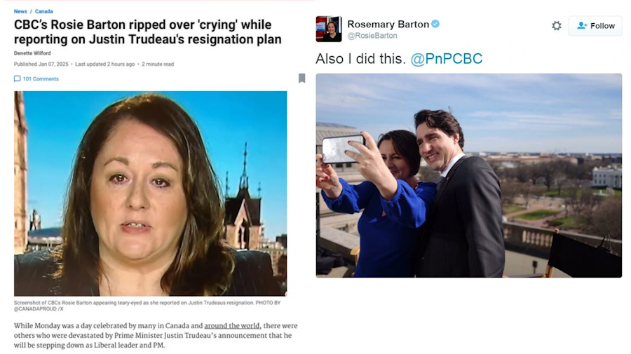 CBC’s Rosemary Barton Has No Time for Fake News – Blazingcatfur